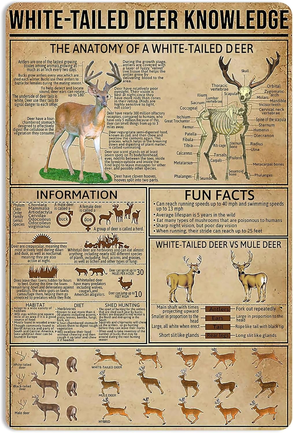 Metal Tin Signs White-Tailed Deer Knowledge Hunting Knowledge Poster Farmhouse Farm Home Kitchen ...