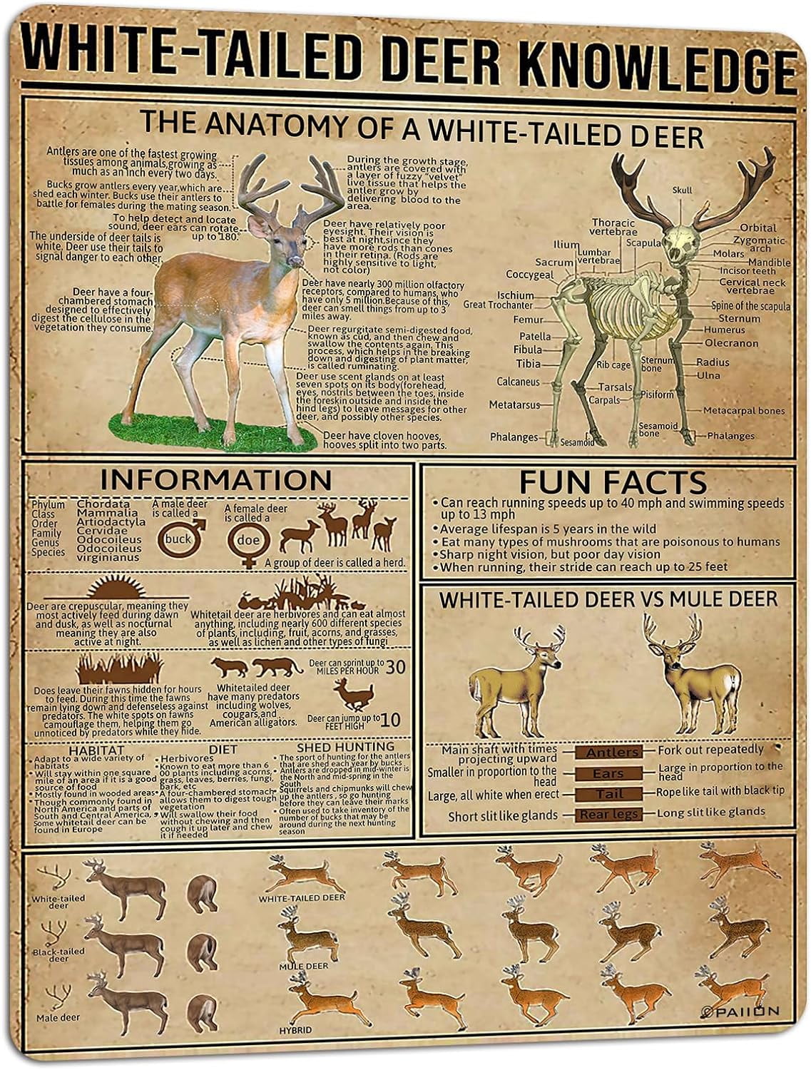 Metal Tin Signs White-Tailed Deer Knowledge Hunting Knowledge Poster ...