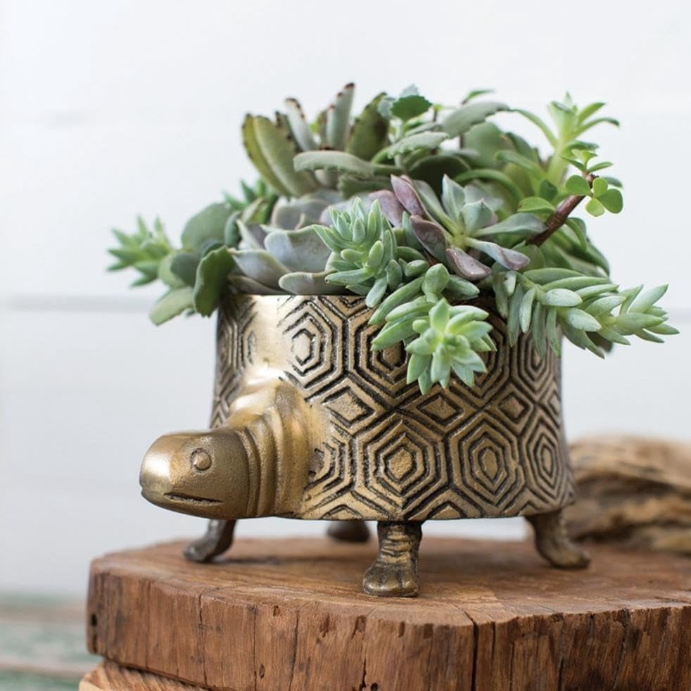 Metal Turtle Planter | Aluminum Gold Planter Pot - 6" H - Walmart.com