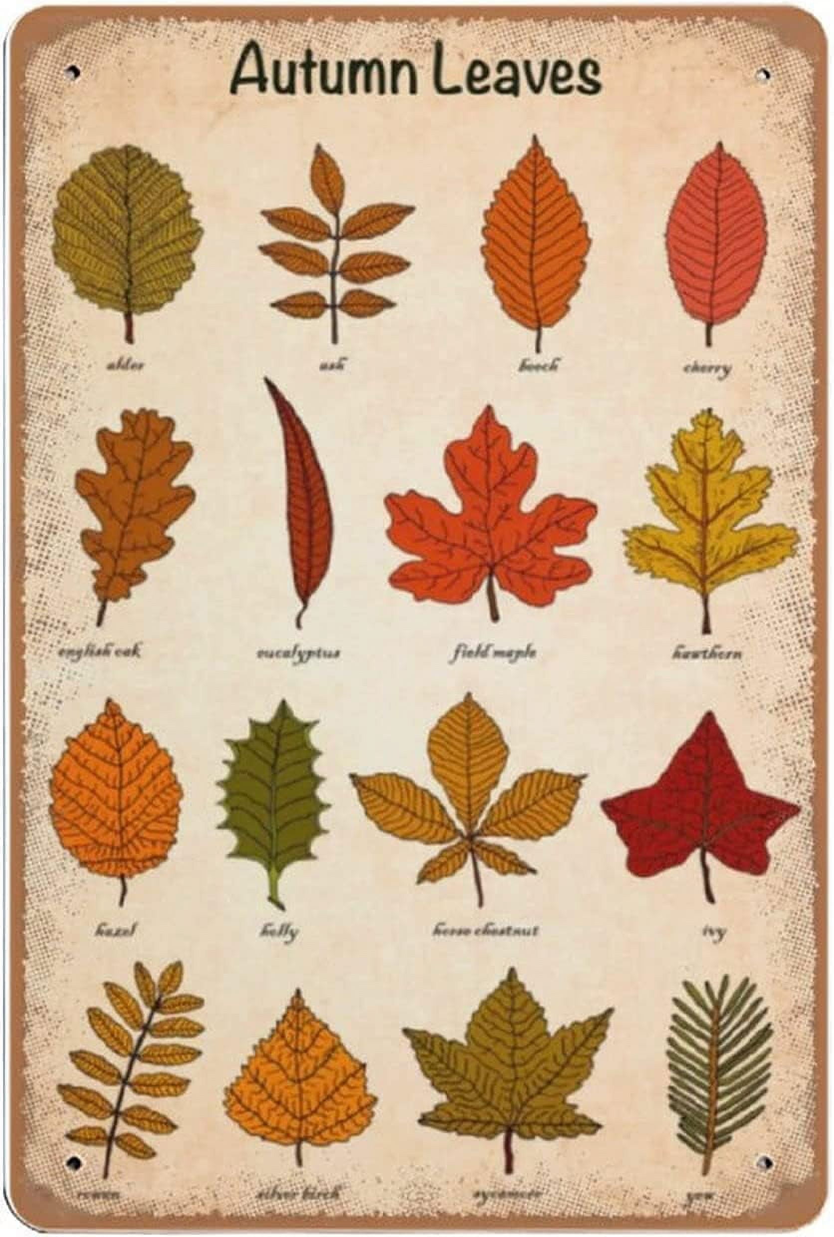Metal Vintage Tin Sign Decor Autumn Leaves tin Sign, Autumn Leaves ...