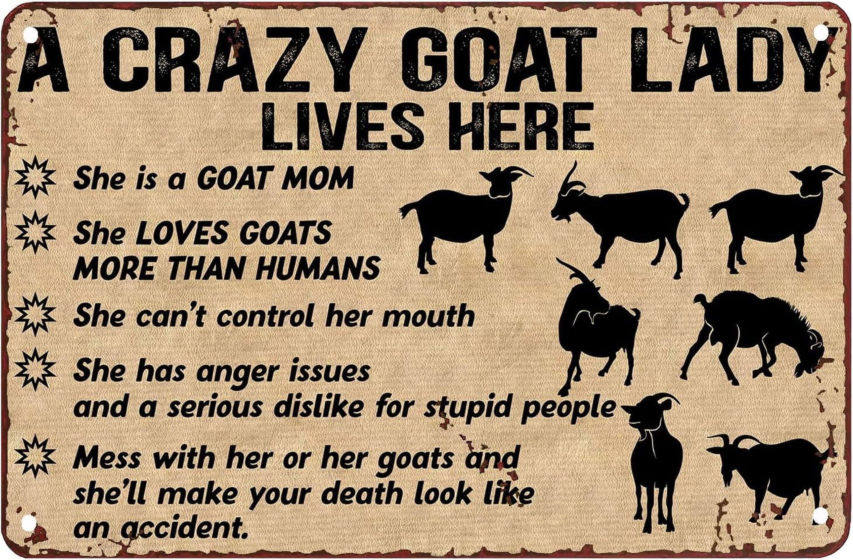 Metal Wall Decor for Living Room a Crazy Goat Lady Lives Here She is a ...