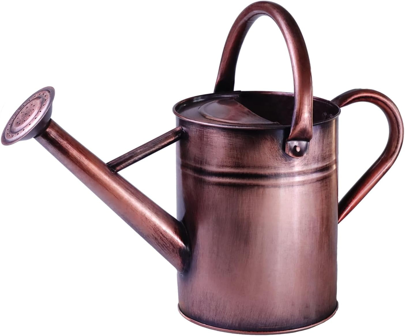 Metal Watering Can for Outdoor Plants, 1 Gallon Galvanized Steel ...
