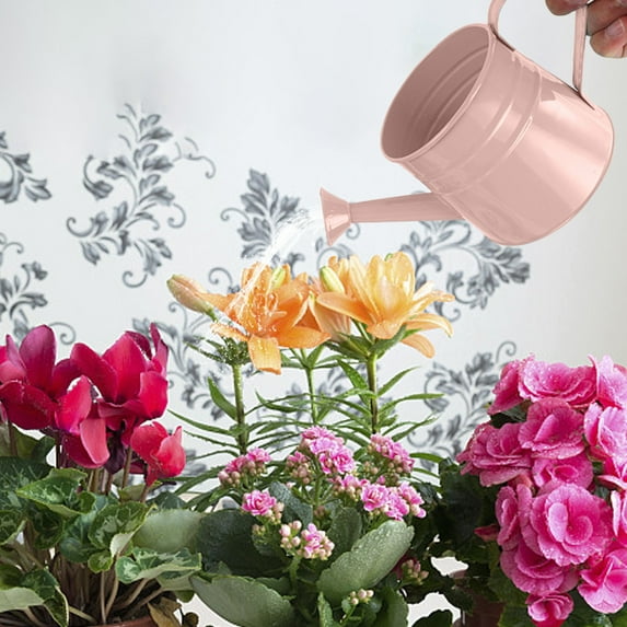 Metal Watering Can For Plants Indoor Outdoor | Vintage Floral Iron ...