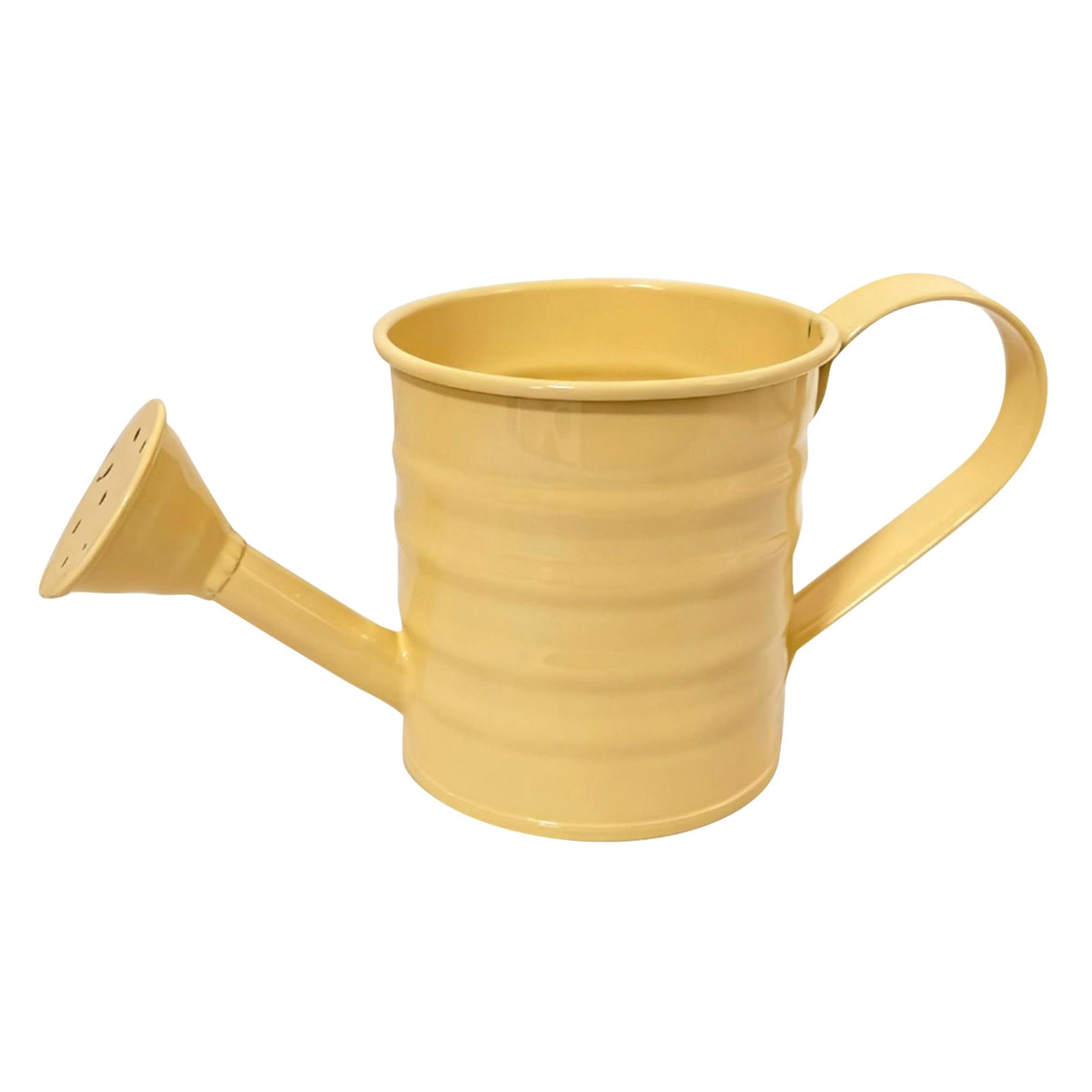 Metal Watering Can for Indoor Outdoor Plants, Small Capacity Watering ...