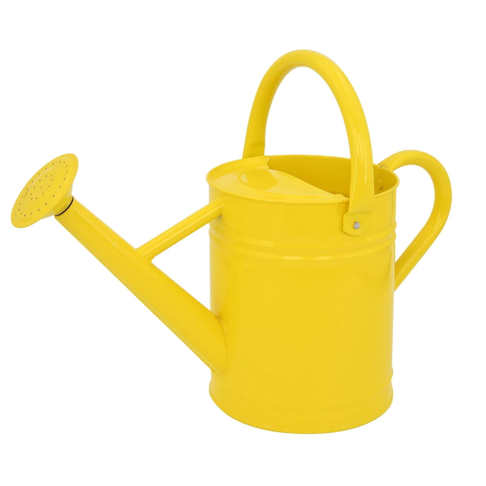 Metal Watering Can for Outdoor Plants, Galvanized Steel Watering Can ...