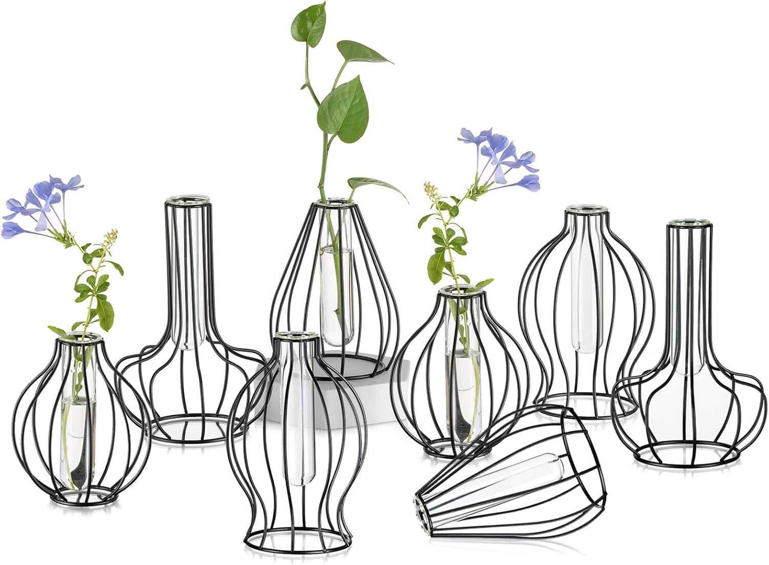 Metal Wire Glass Vase - Mini Propagation Station with Black Frame Set ...