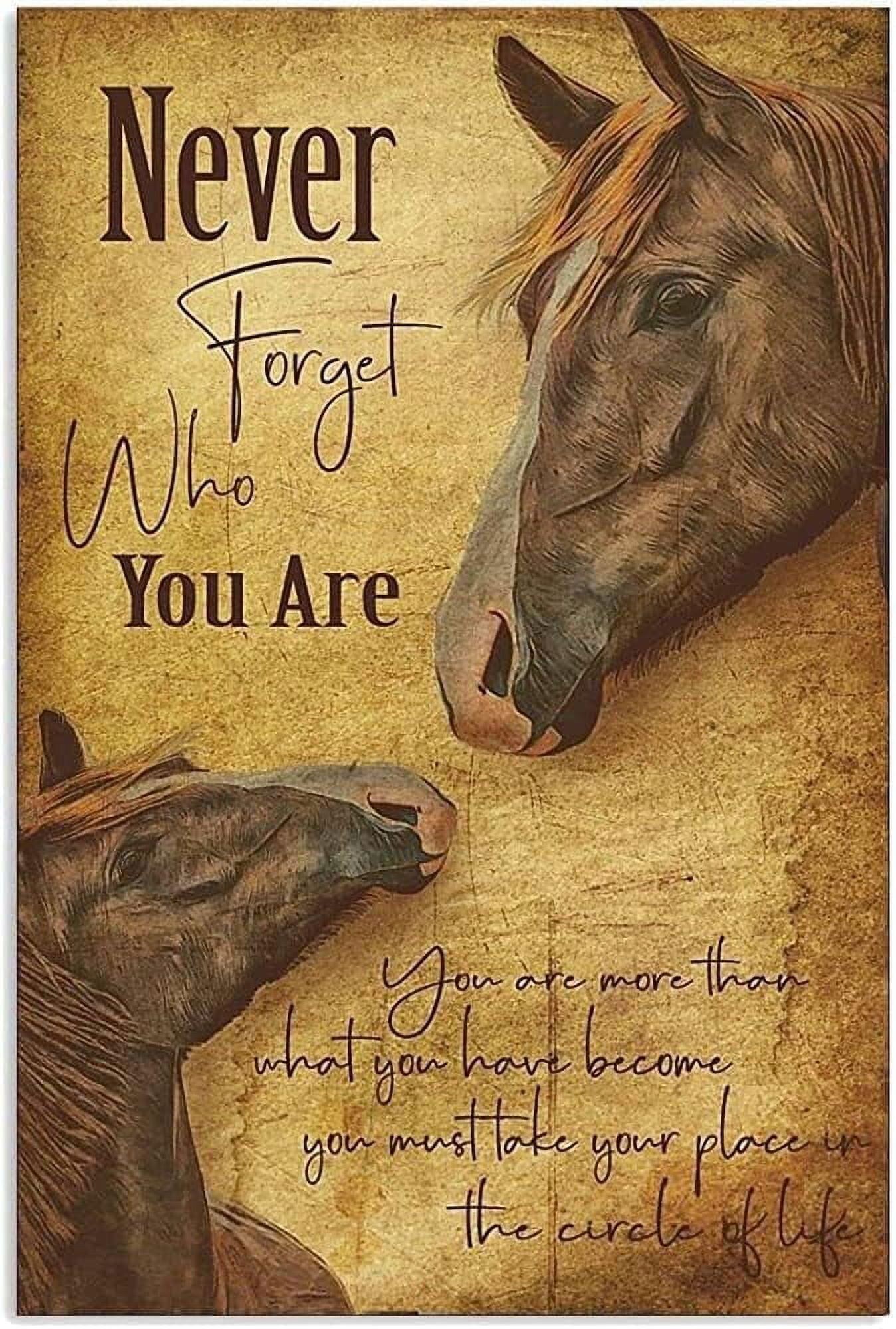 Metal tin Sign Plaque Horse Never Forget Who You are Retro Metal Tin ...