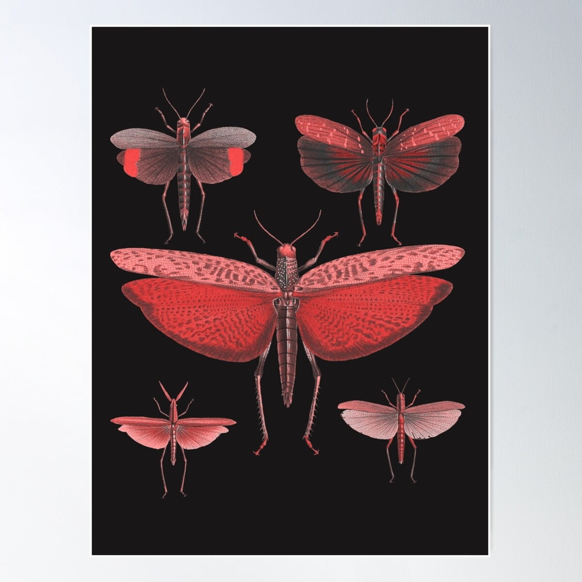 Metamorphosis Poster Wall Art, Modern Wall Decor For Living Room ...