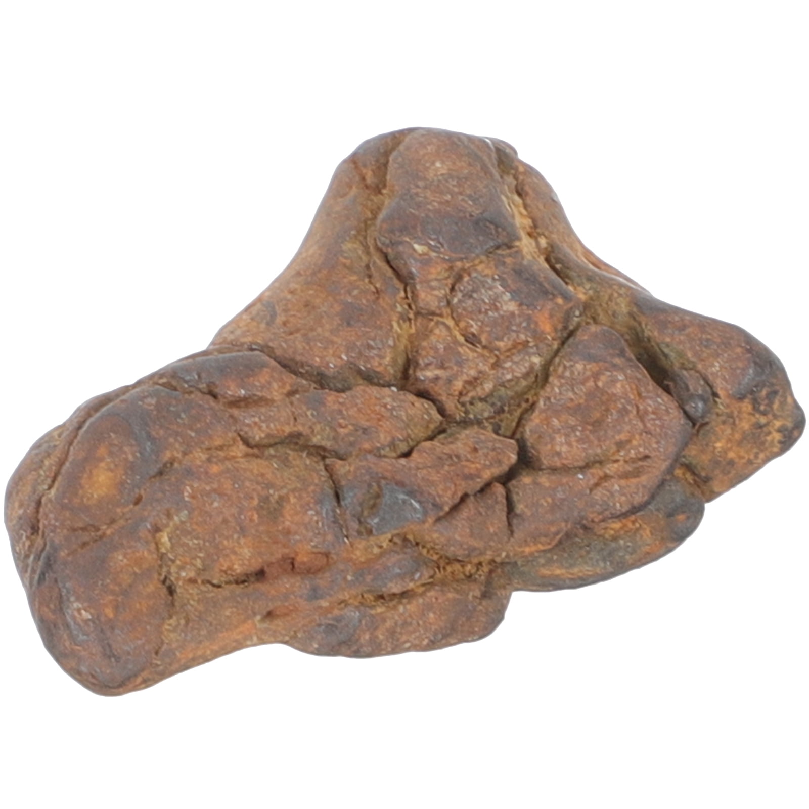 Meteorolite Model Meteorite Ornament Classroom Teaching Specimen Table ...
