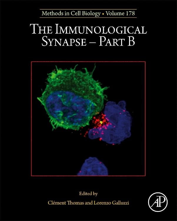 Pre-Owned Immunological Synapse - Part B (Volume 178) - Walmart.com