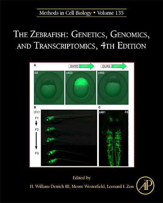 Methods in Cell Biology The Zebrafish: Genetics, Genomics, and ...