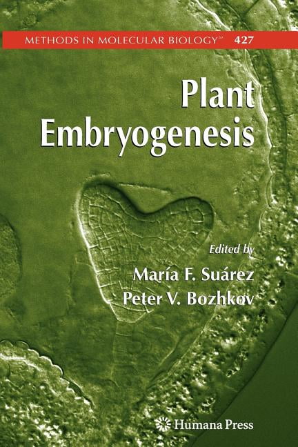 Methods in Molecular Biology: Plant Embryogenesis (Paperback) - Walmart.com Methods in Molecular Biology: Plant Embryogenesis (Paperback) - Walmart.com