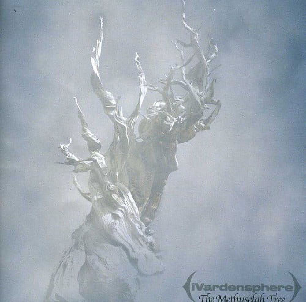 Methuselah Tree - Walmart.com