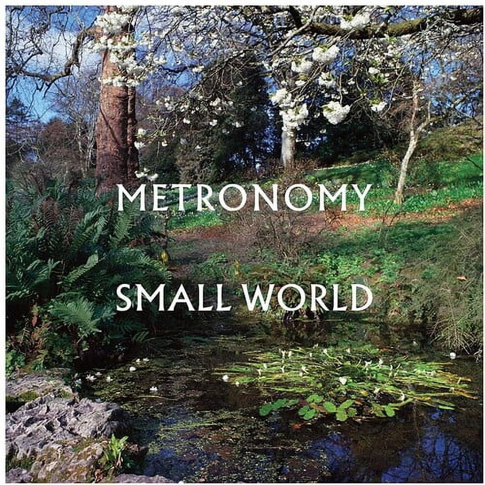 Metronomy - Small World - Music & Performance - Vinyl - Walmart.com