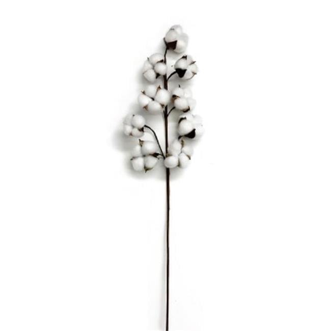 Metrotex Designs 40001 20 in. Cotton Spray, 9 Pods - Walmart.com