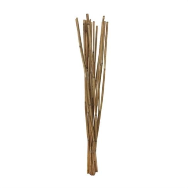 Metrotex Designs 41254 39.5 in. 20 Stems Bamboo Reed Bundle - Walmart.com