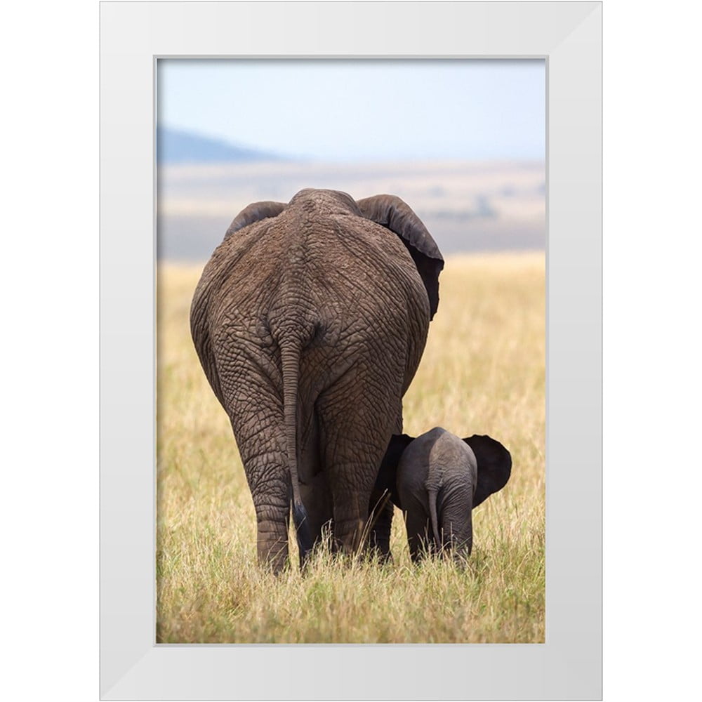 Metzger, Alejandro 11x14 White Modern Wood Framed Museum Art Print ...