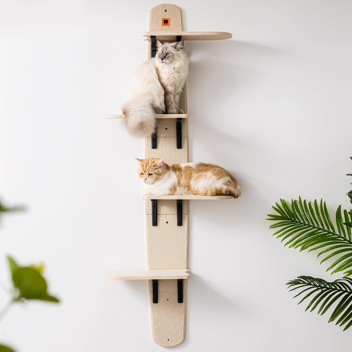 Mewoofun 4-Levels Wall Mounted Cat Climber Shelves Tree Wooden Cat Wall ...