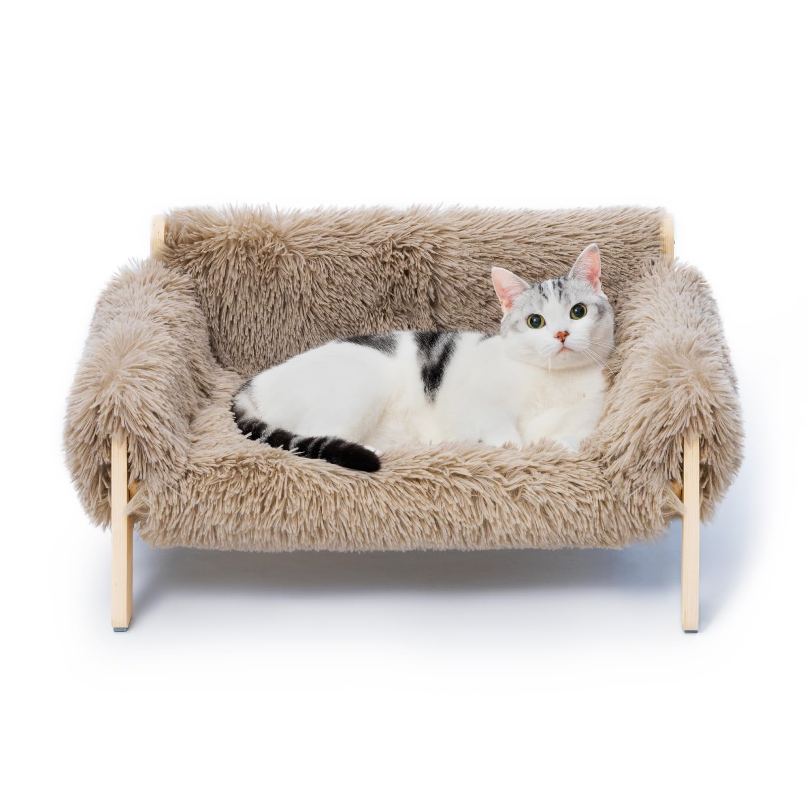 Mewoofun Cat Couch Bed, Pet Sofa for Indoor Cats Wooden Indoor Elevated Cat Beds with Removable ...