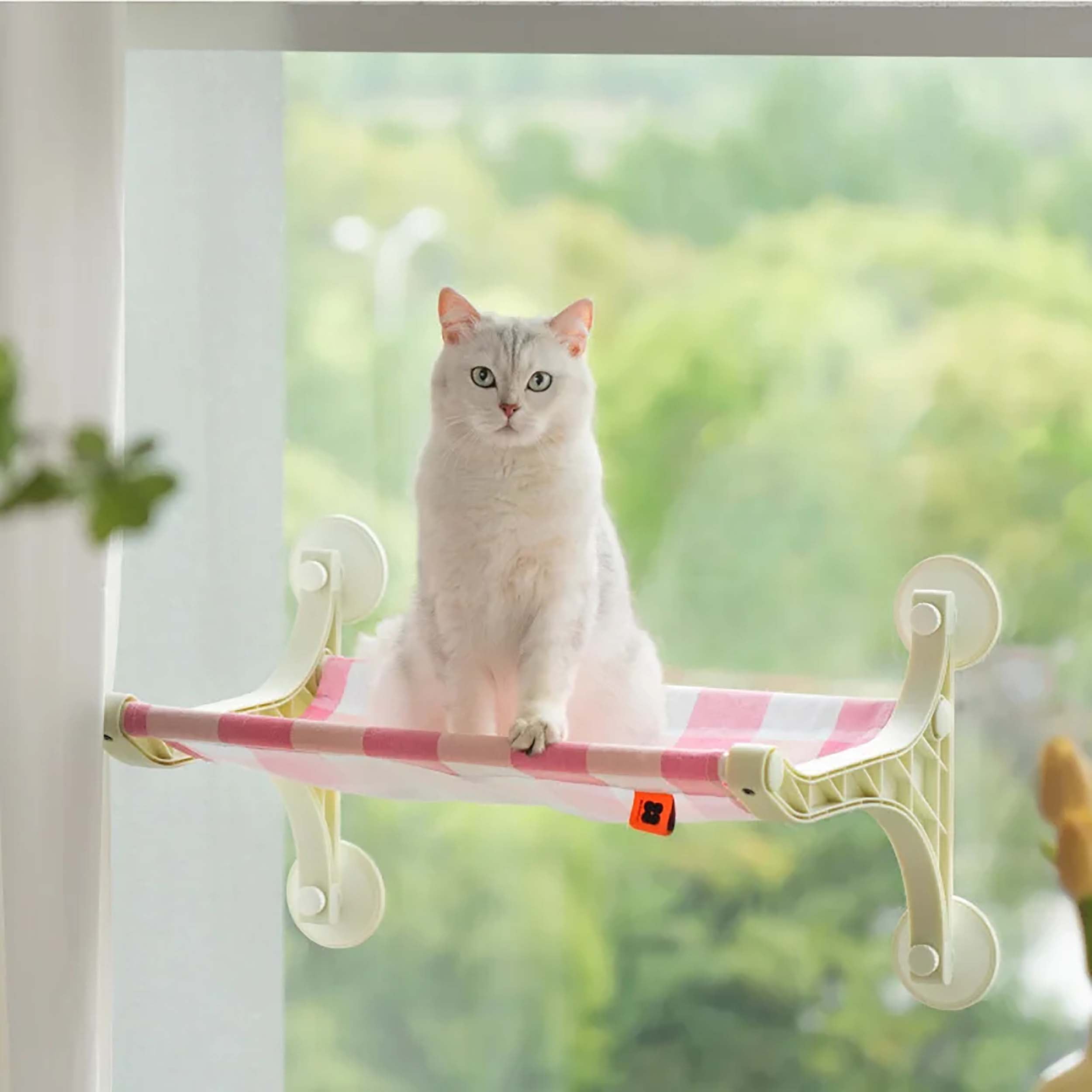 Mewoofun Cat Window Perch Cat Hammock for Sill Pets Seat Bed Up to 30 ...