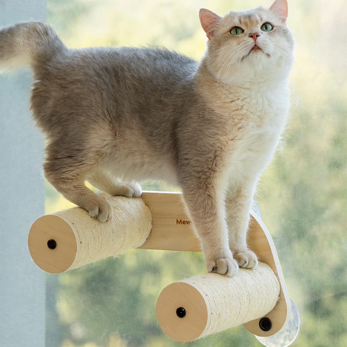 Mewoofun Cat scratching post Cat Wall Shelves Wall Mounted Steinway Cat ...