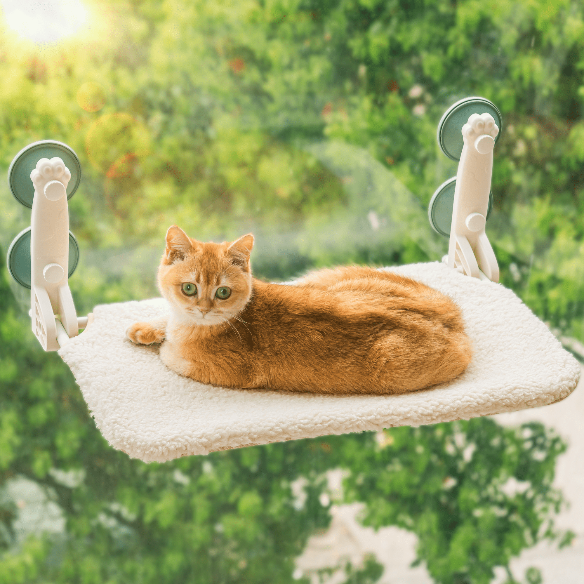 Mewoofun Medium Cat Window Perch Lounge Mount Hammock Window Seat Bed ...