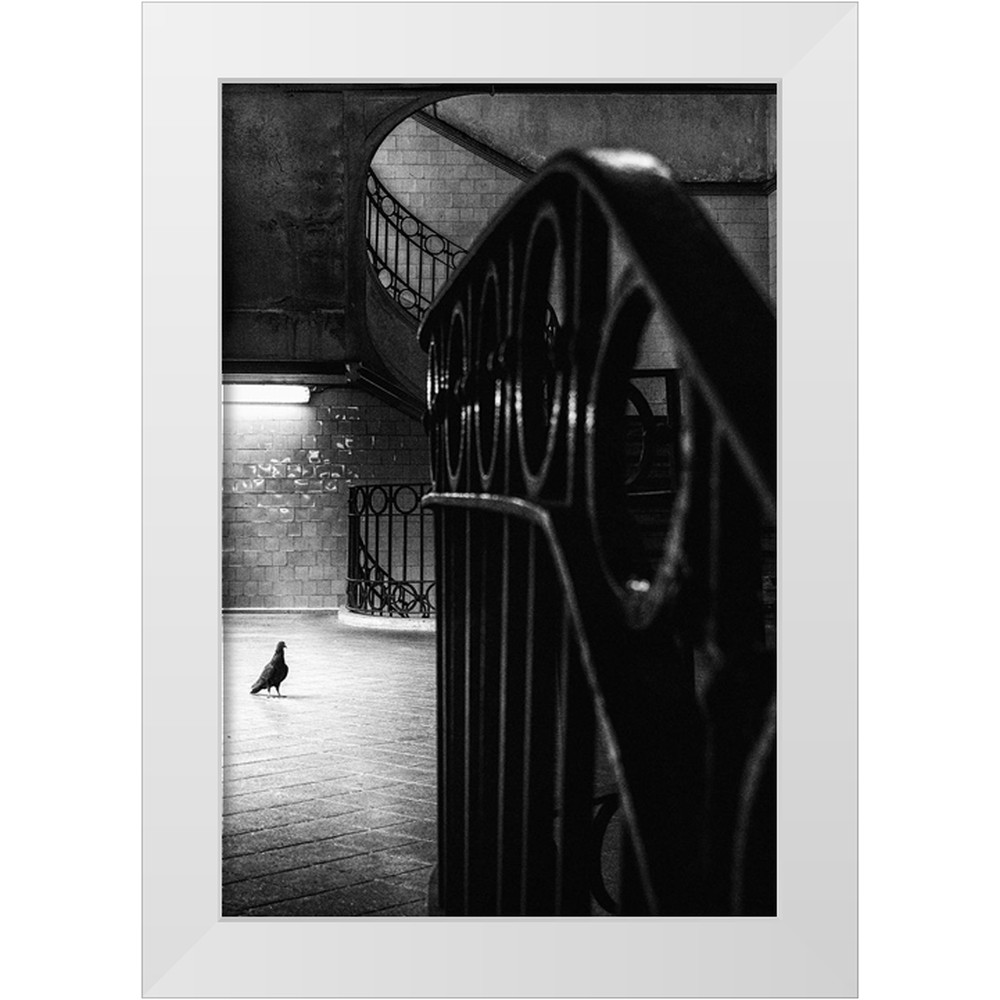 Mexia, Laura 11x14 White Modern Wood Framed Museum Art Print Titled ...