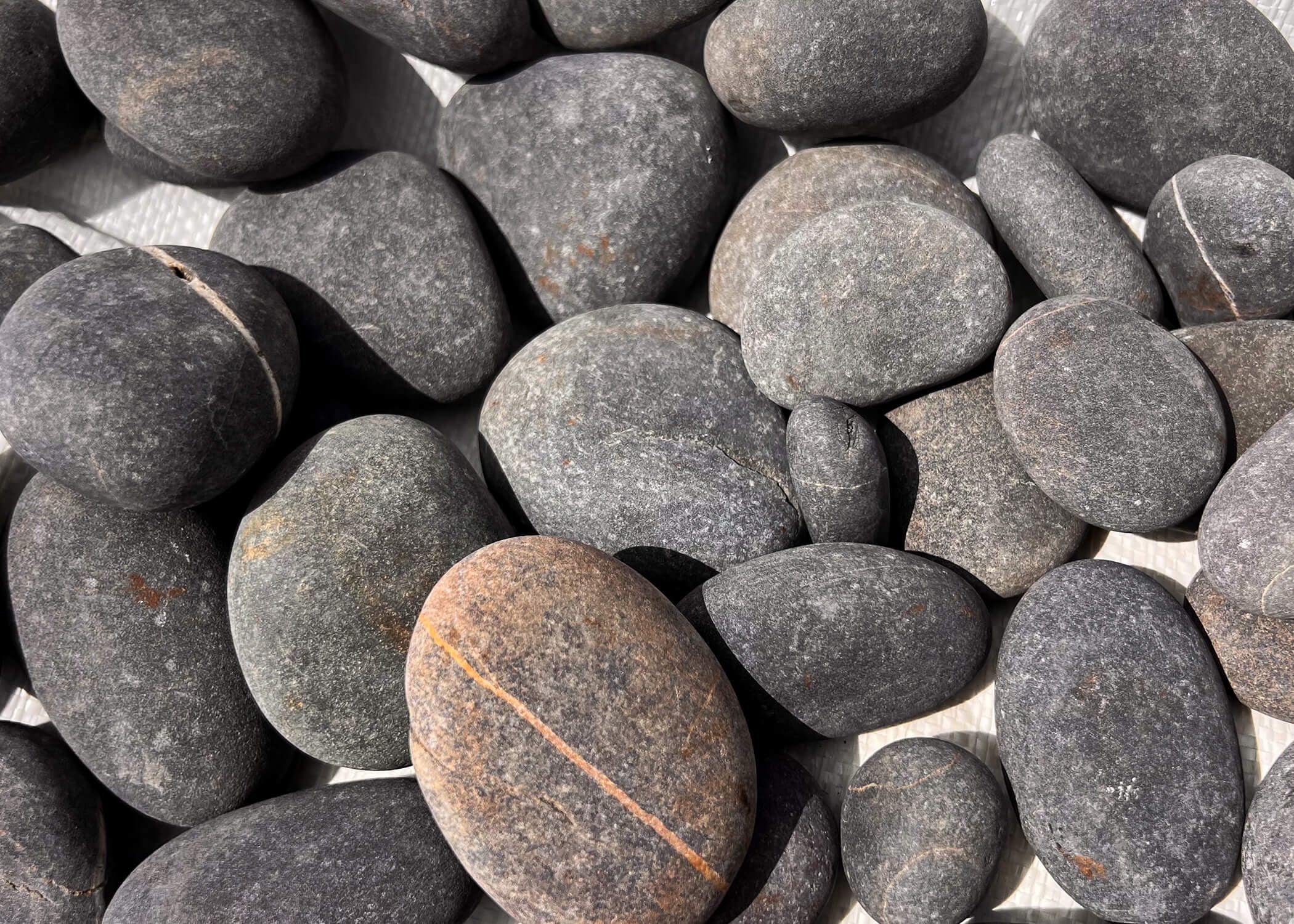 Mexican Beach Pebbles: 1-2”, Stunning Garden Decor, Pathways & Backyard ...