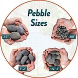 Mexican Beach Pebbles | 20 Pounds of Smooth Unpolished Stones | Hand ...
