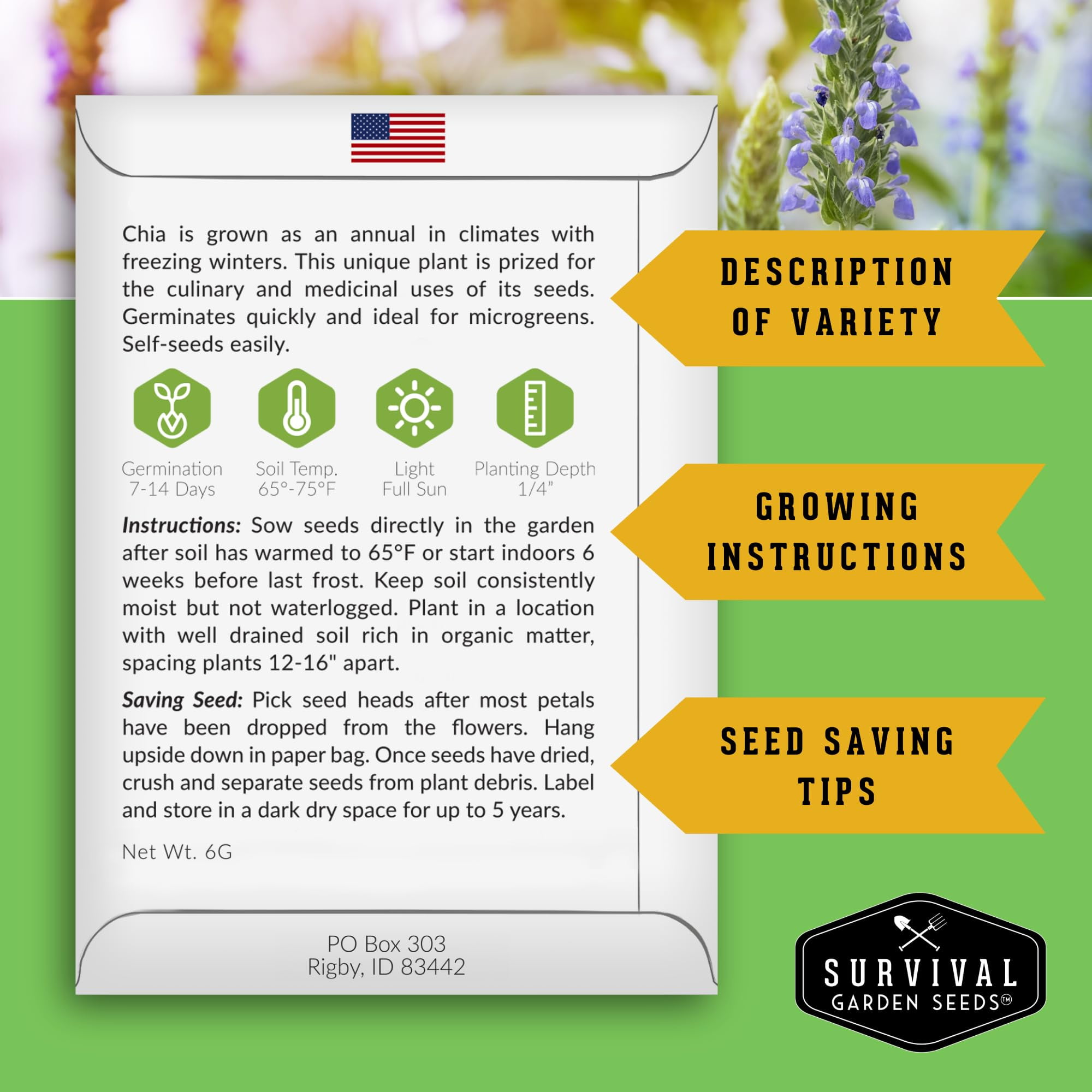 Mexican Chia Seed for Planting - 1 H2FSDPacket with Instructions to ...