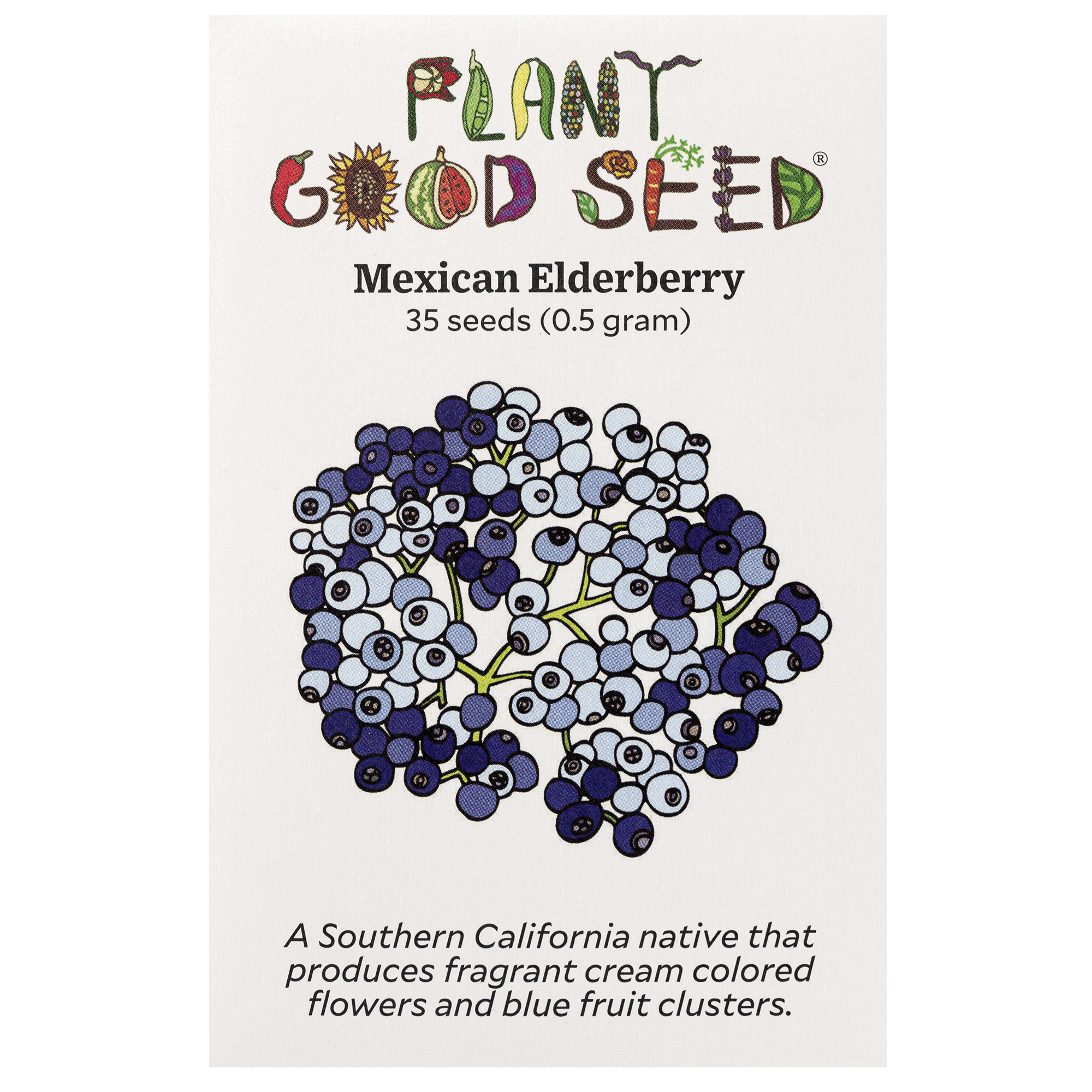 Mexican Elderberry Seeds - Fast Growing, Drought West Coast Native ...