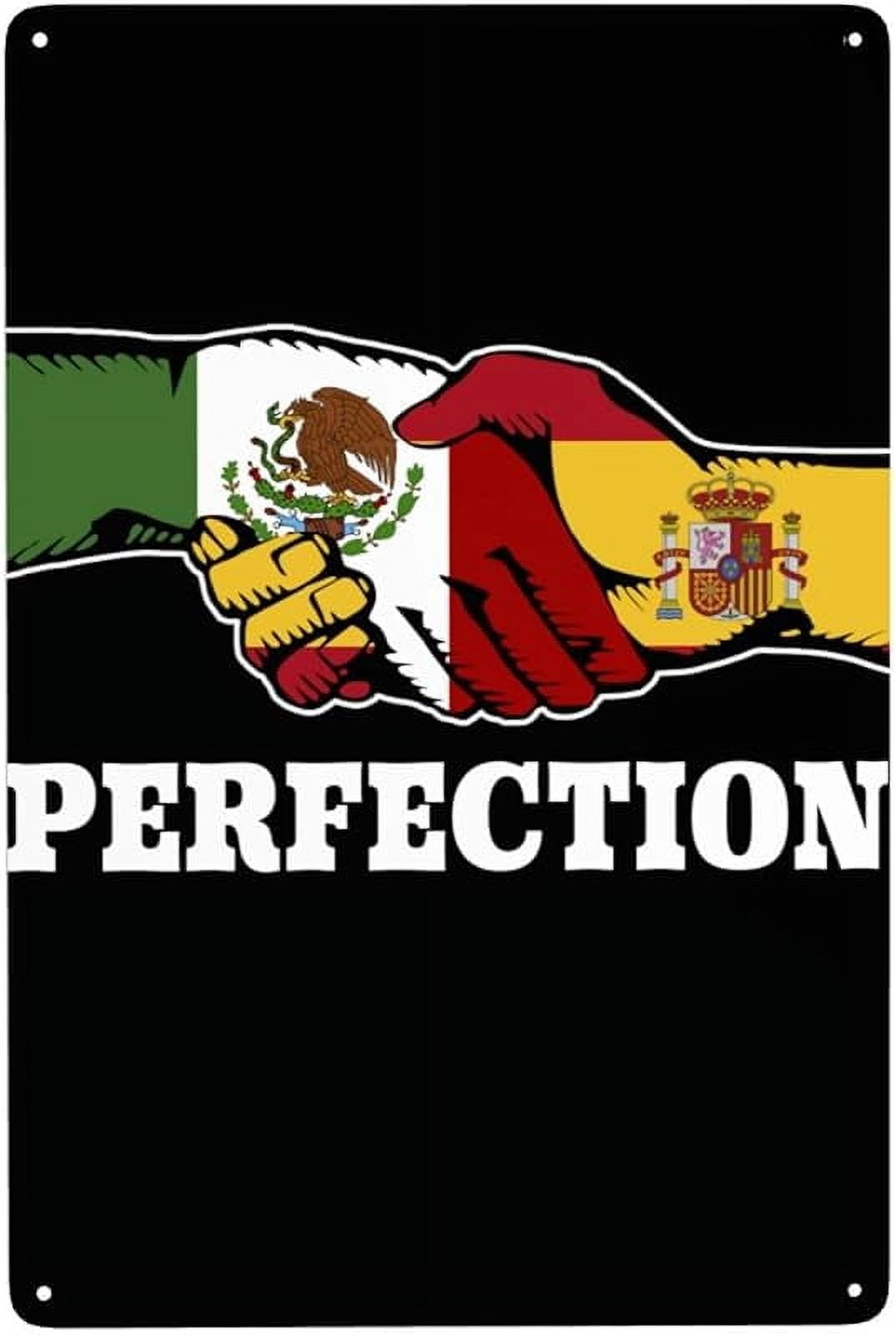 Mexican Mexico And Nicaragua Flags Sign Metal Iron Painting Wall Art ...