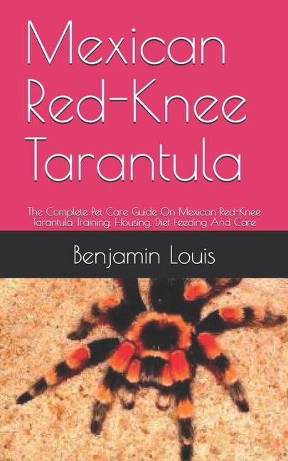 Mexican Red Knee Tarantula Habitat