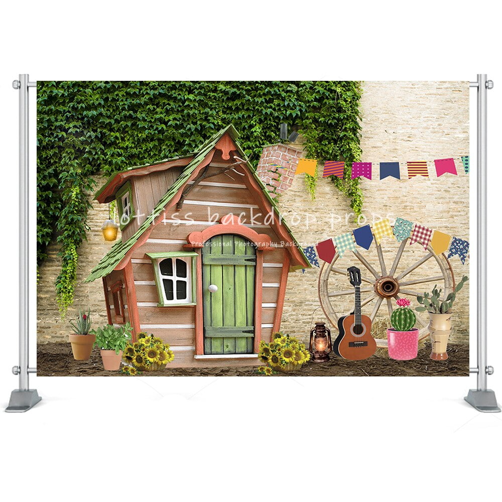 Mexico Fiesta Theme Photography Backdrop 3D Painting Summer Desert ...