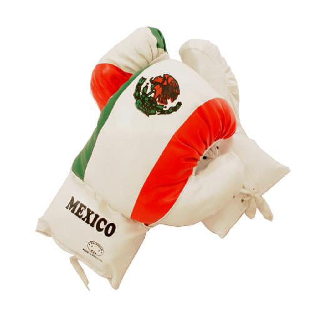 Mexico Flag Boxing Gloves, Real Vinyl Leather, Sizes 4oz-20oz, Training ...