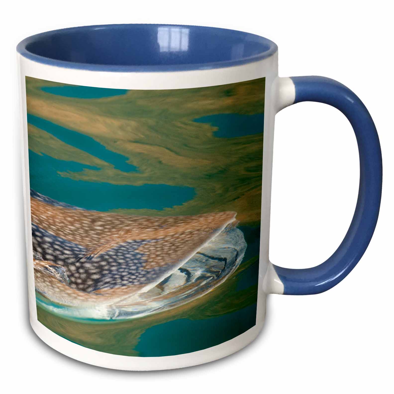 3drose, Mexico, Midriff, Bahia De Los Angeles, Whale Shark - Sa13 ...