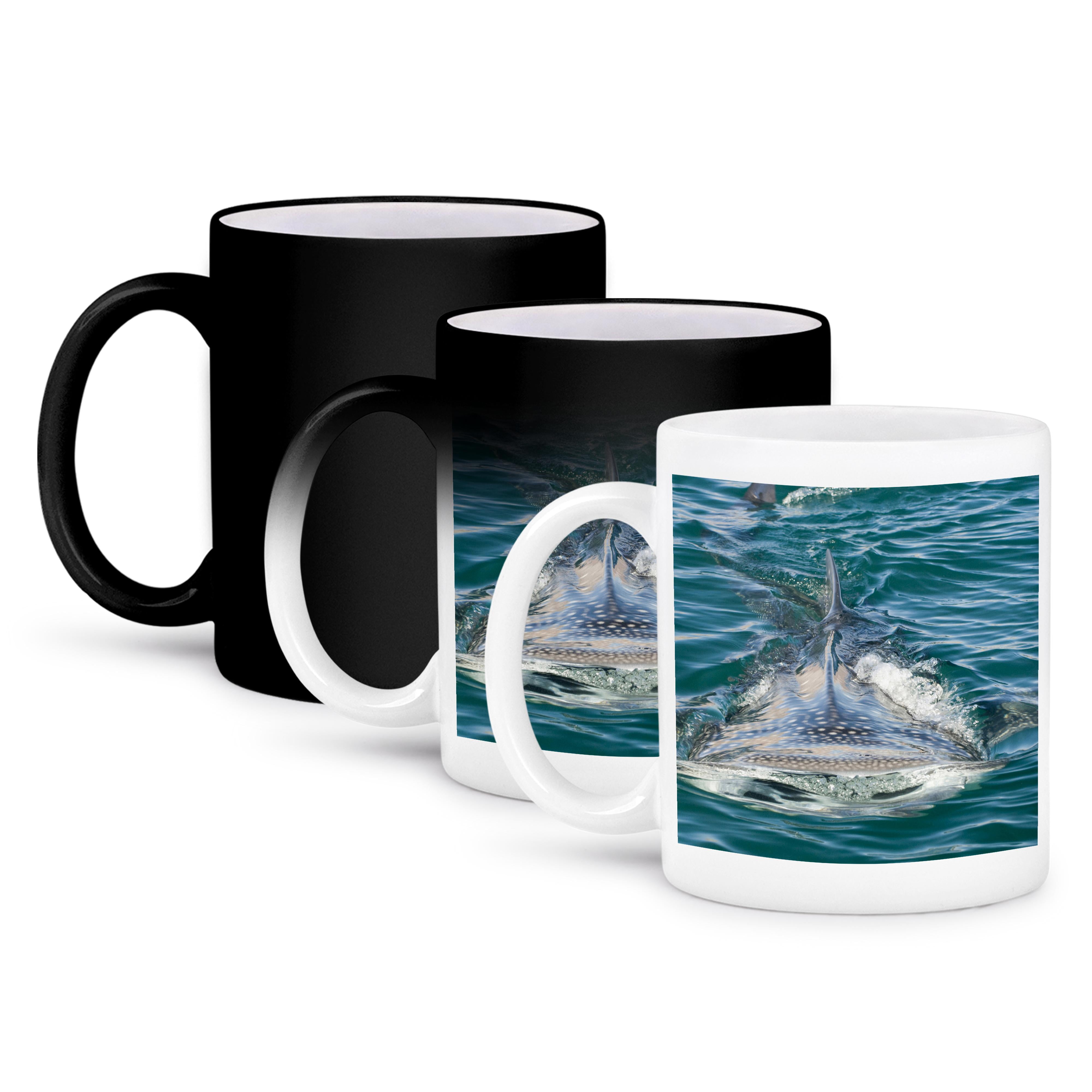 3dRose, Mexico, Midriff, Bahia de los Angeles, Whale Shark - SA13 ...