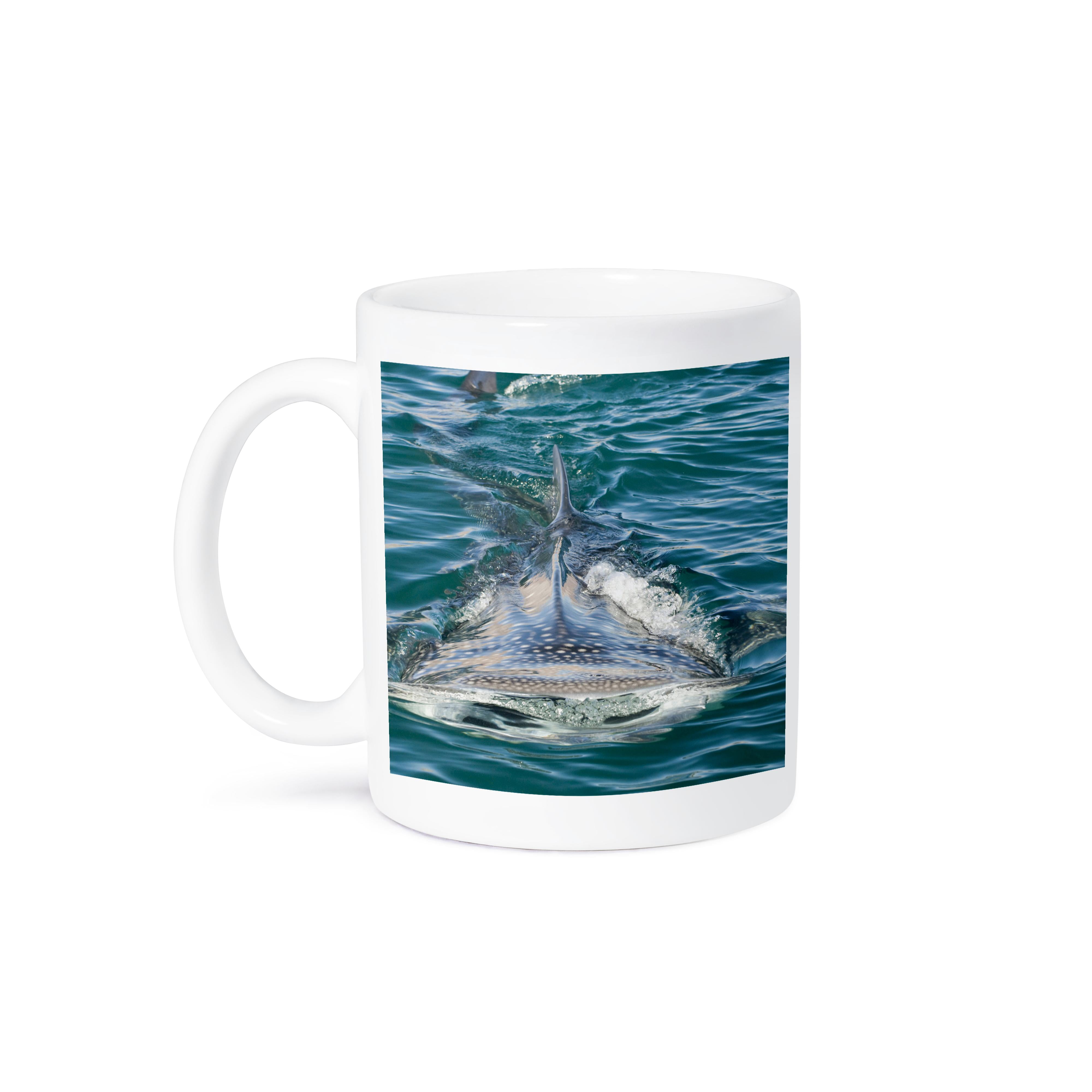 3dRose, Mexico, Midriff, Bahia de los Angeles, Whale Shark - SA13 ...