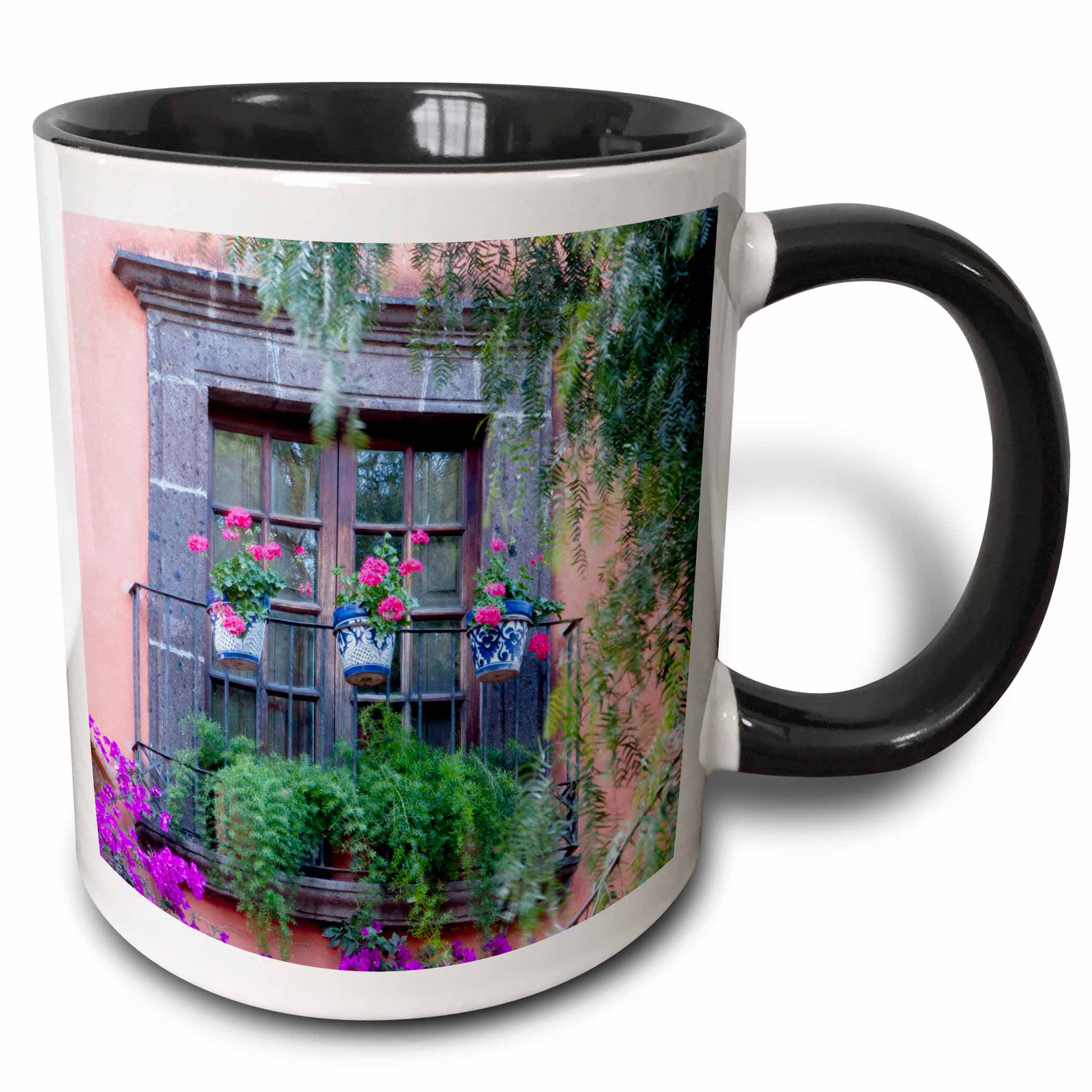 3drose, Mexico, San Miguel De Allende, Window Flowers - Sa13 Aga0001 ...