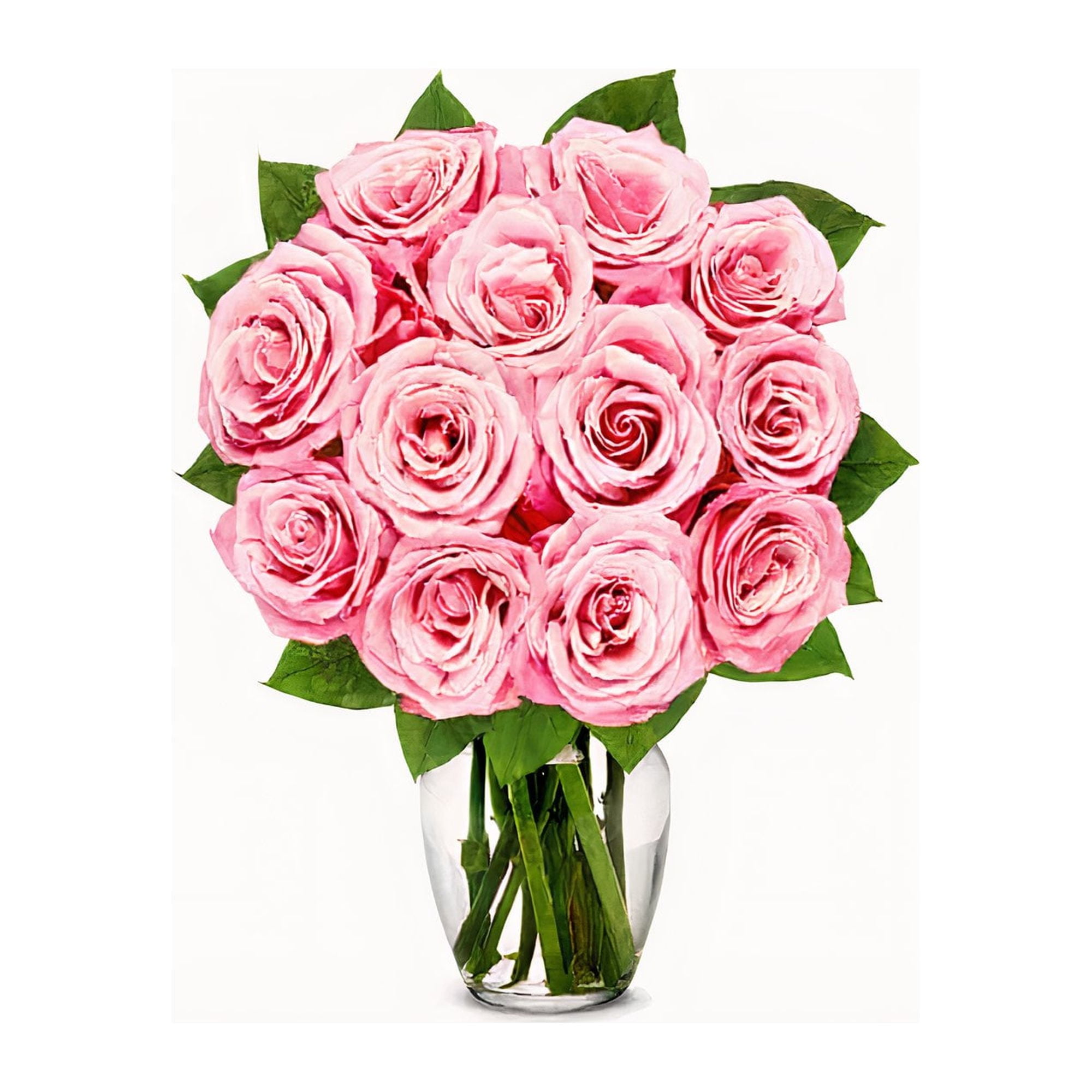 Mexiflower 12 Pink Roses, Cut and Fresh Flowers Bouquet - Walmart.com