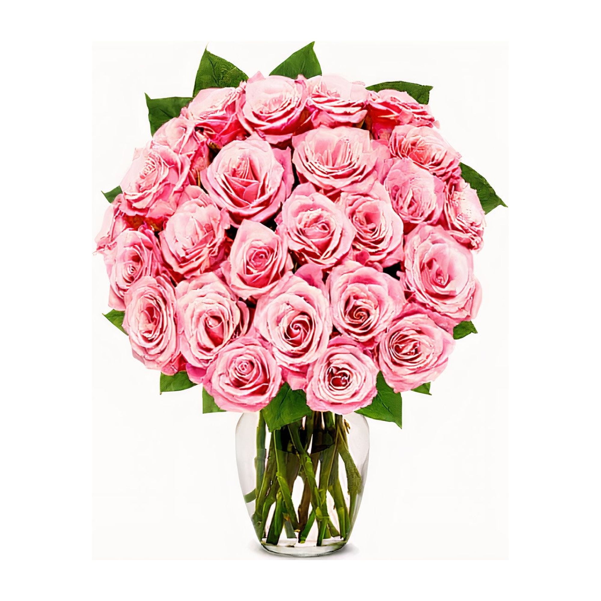 Mexiflower 24 Pink Roses, Cut and Fresh Flowers Bouquet - Walmart.com