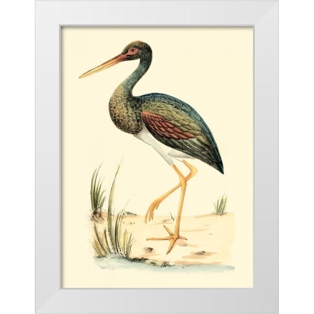 Meyer, H.L. 19x24 White Modern Wood Framed Museum Art Print Titled ...
