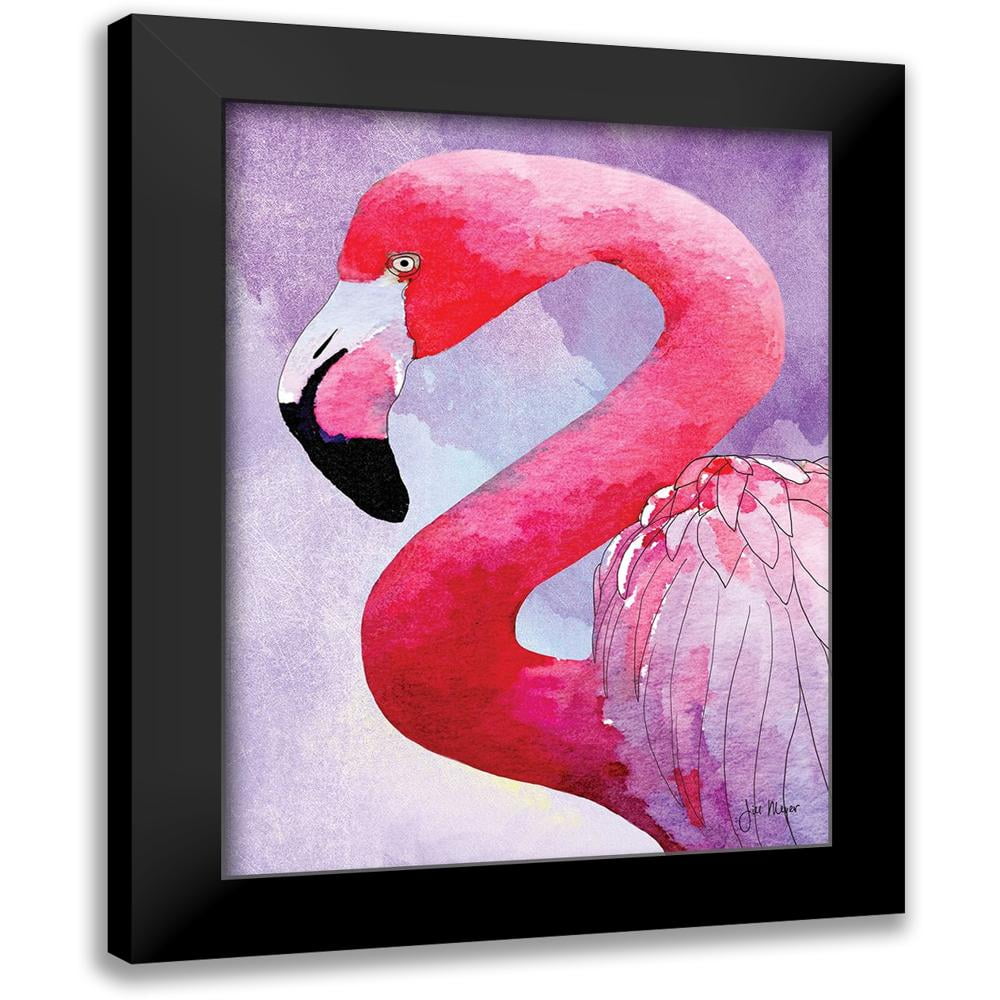 Meyer, Jill 15x18 Black Modern Framed Museum Art Print Titled - Amazing Flamingos III - Walmart.com
