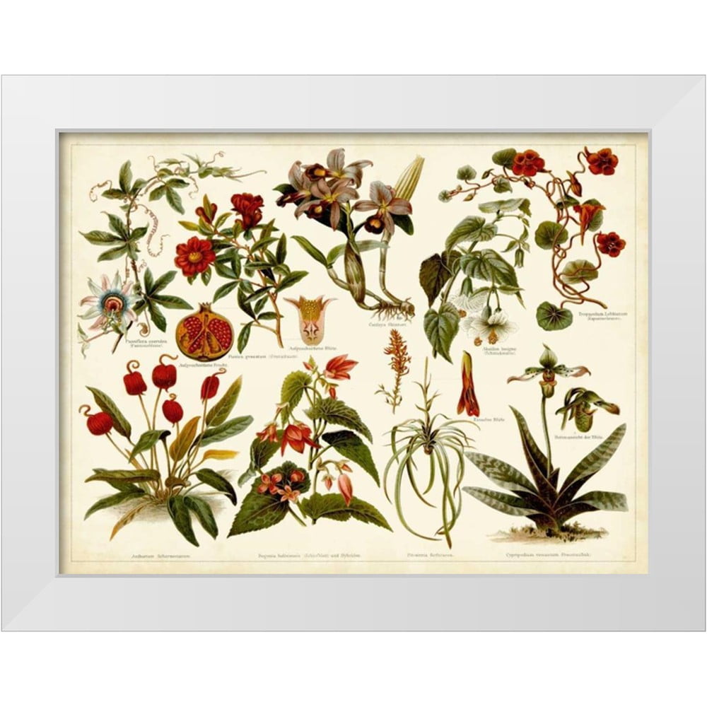 Meyers 14x12 White Modern Wood Framed Museum Art Print Titled ...