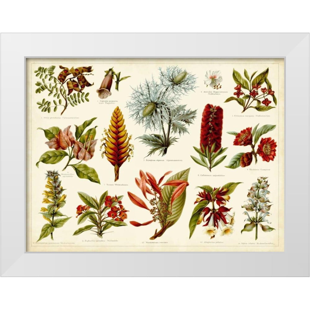 Meyers 14x12 White Modern Wood Framed Museum Art Print Titled ...