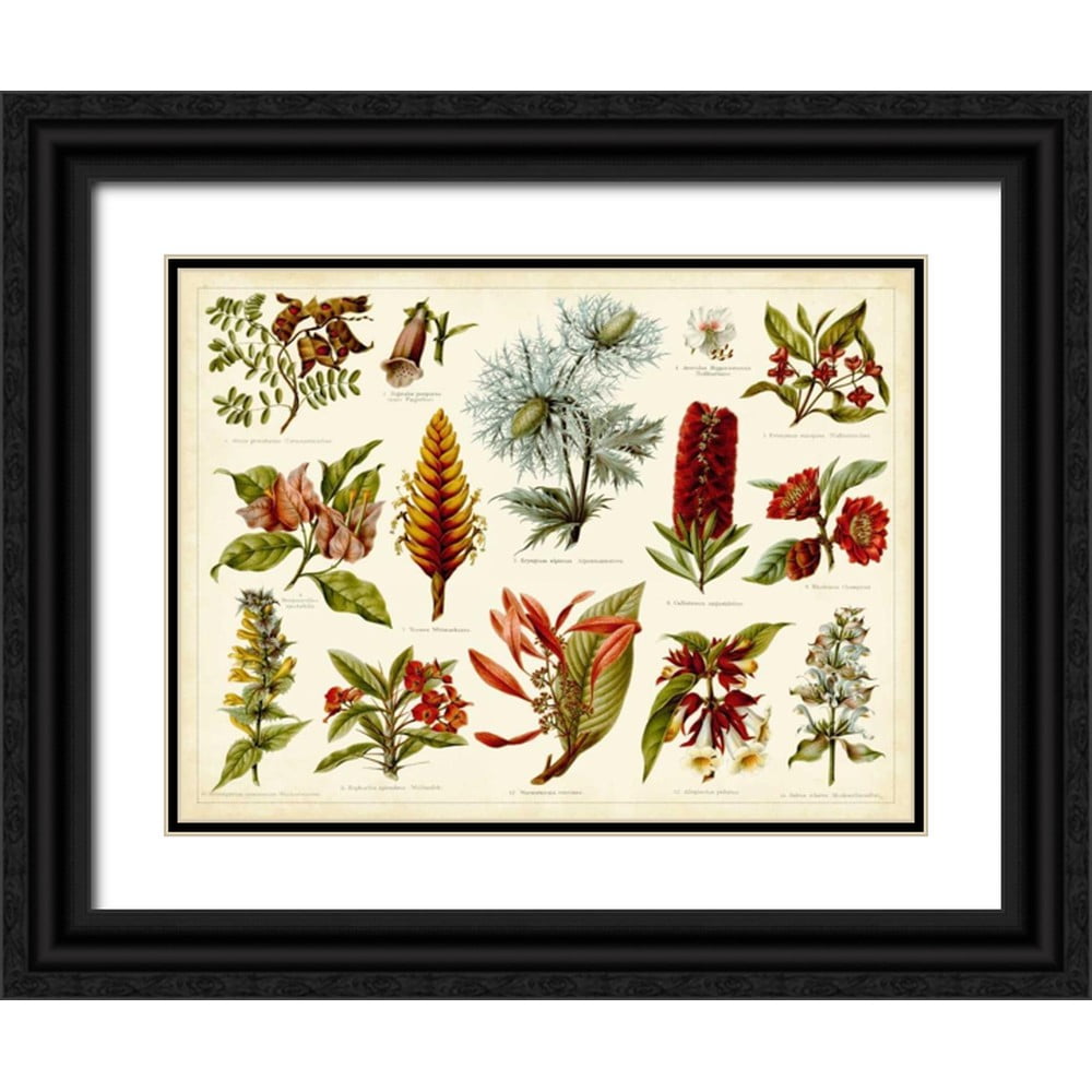 Meyers 18x15 Black Ornate Wood Framed with Double Matting Museum Art ...