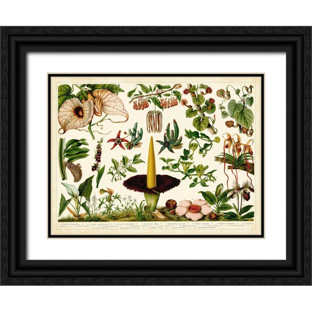 Meyers 32x25 Black Ornate Wood Framed with Double Matting Museum Art ...
