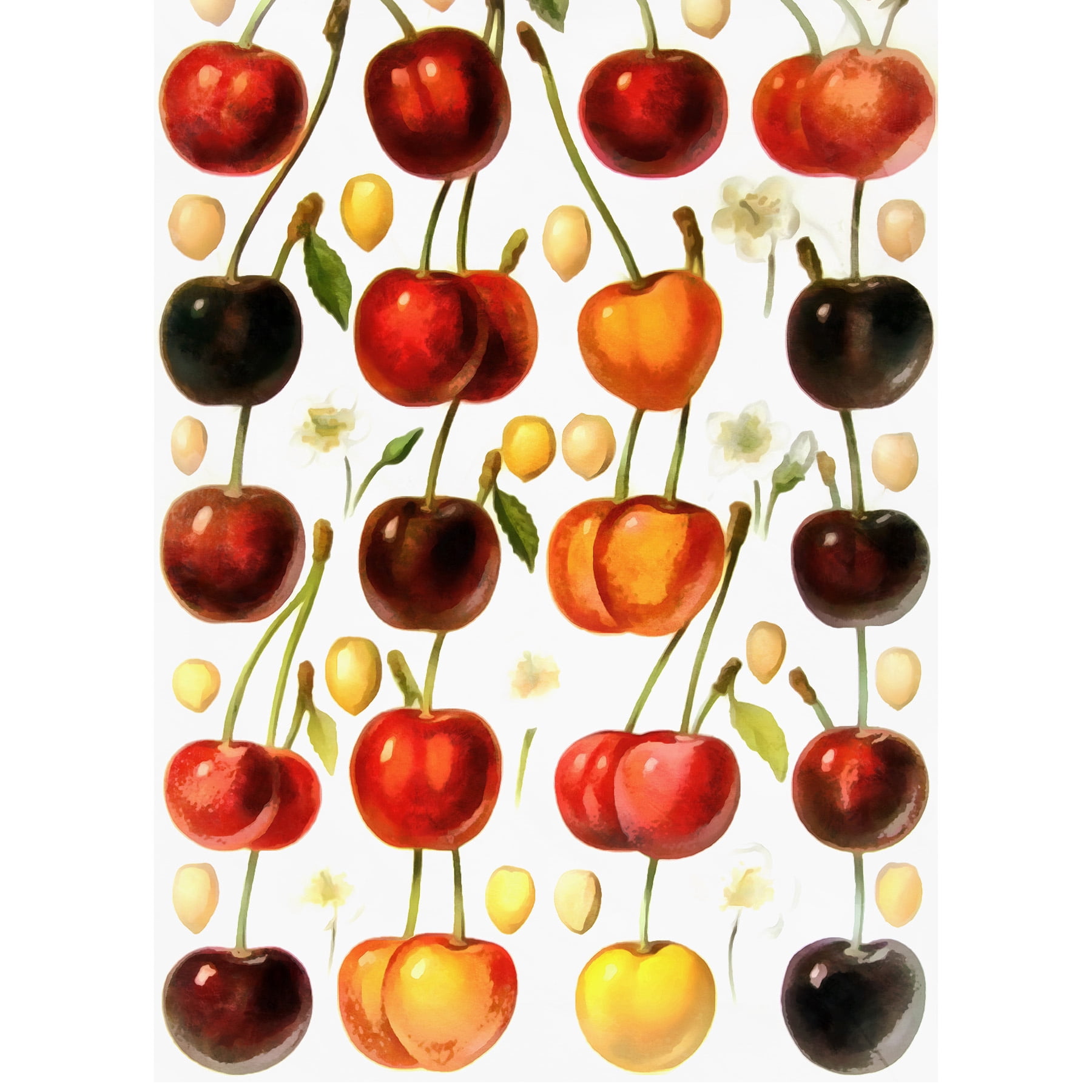 Meyers Cherries Illustration Large Wall Art Print - Walmart.com