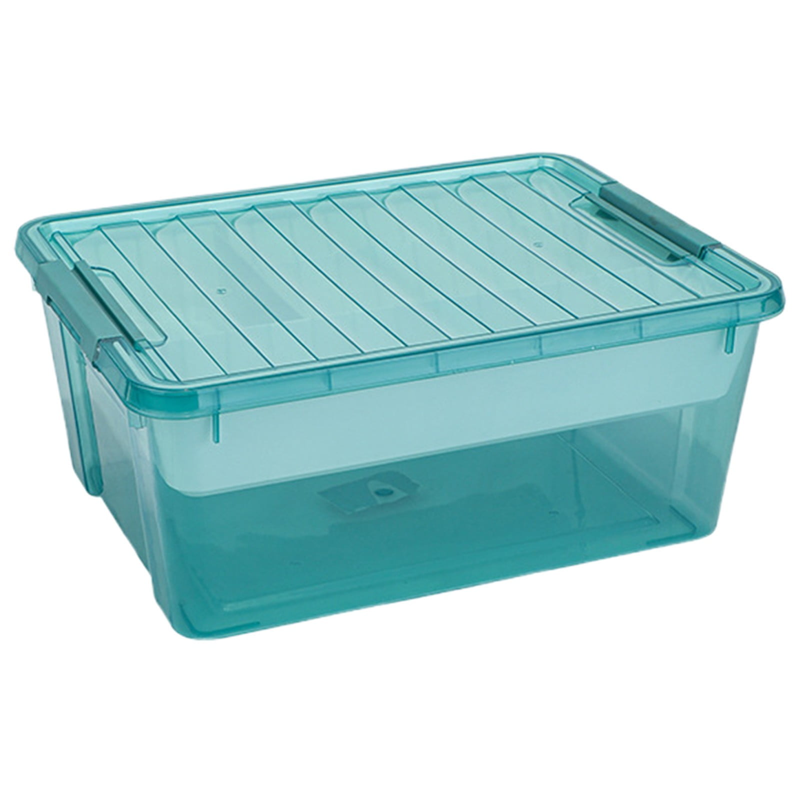 Mfigree 4-Compartment Clear Plastic Storage Box with Removable Tray ...