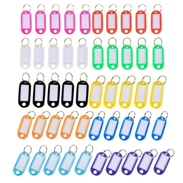 50 Pcs Key Tags with Labels, 10 Colors Key Fobs with Split Rings for ...